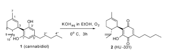 Câncer de Próstata | Mettzer