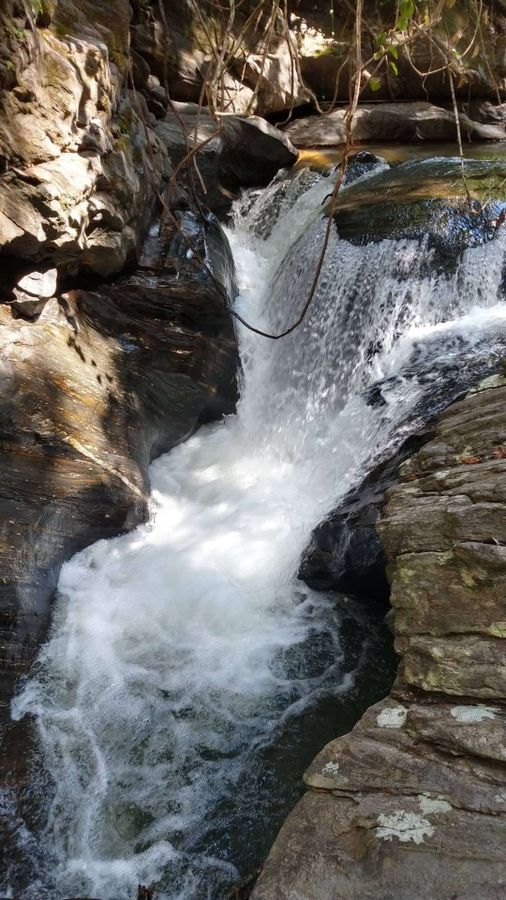 Planejamento do Traçado da Trilha Interpretativa do Circuito das ...